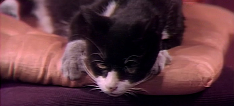 April | 2014 | Dark Shadows Every Day