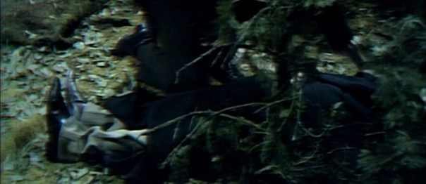 2018 | Dark Shadows Every Day